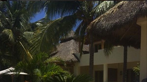 18 Times Kim Kardashian Sunbathed Like a Queen