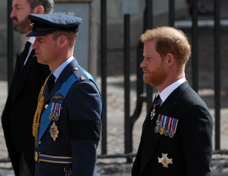 Prince Harry Claims Prince William 'Shouted' At Him Over Royal Future