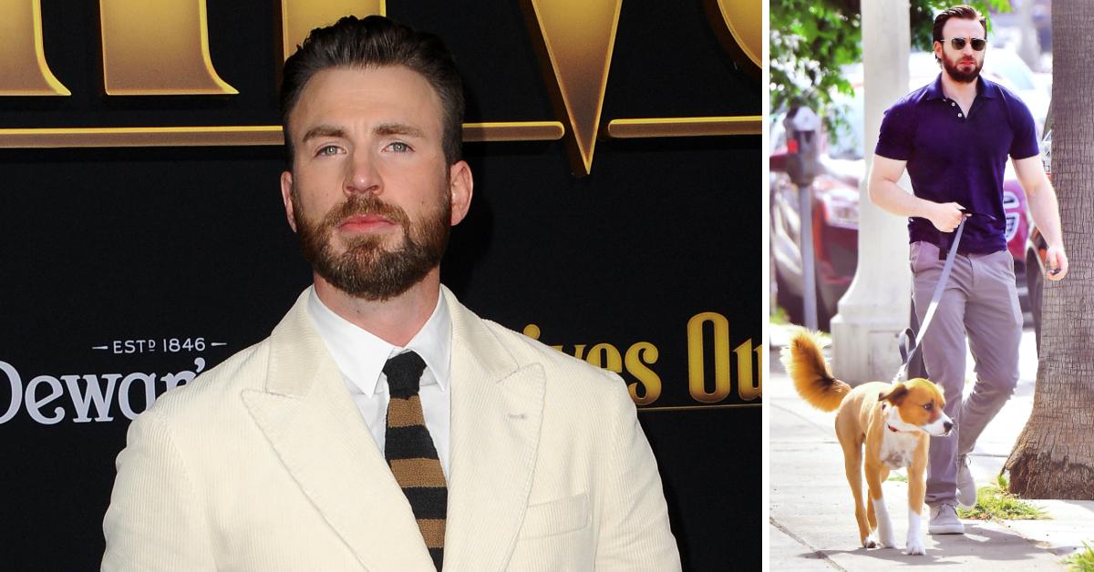 'Captain America' Star Chris Evans And His Dog Dodger Are Inseparable ...
