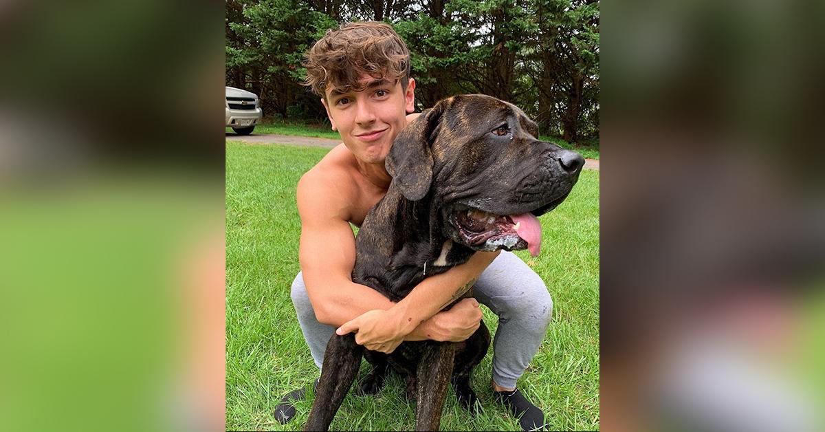Bryce Hall Joins Premium Pet Food Company Dog For Dog