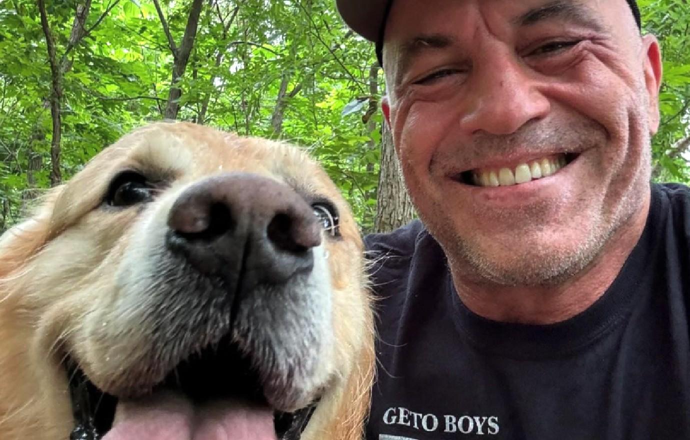 Joe Rogan's Predicts Kamala Harris Will Beat Donald Trump In 2024