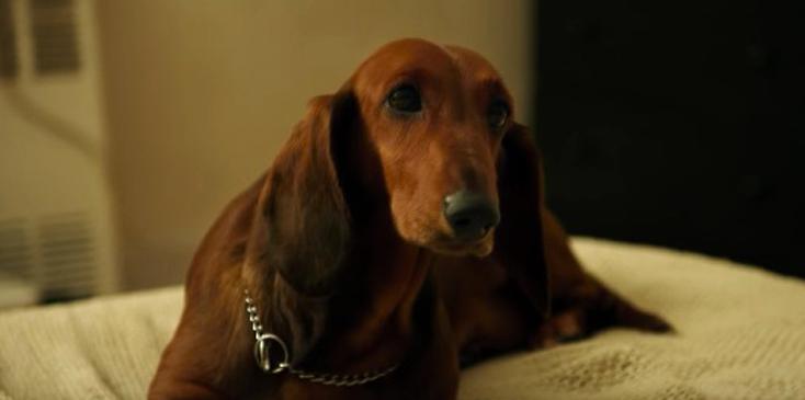 ‘Wiener-Dog,’ ‘Battlebots’ And More To Watch On TV Tonight!