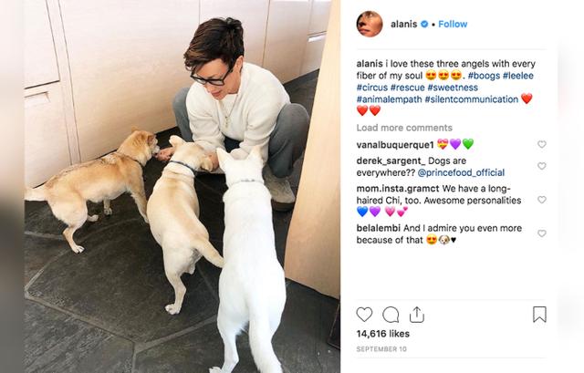 Alanis Morissette Is 'Inconsolable' After Dog Passes Away