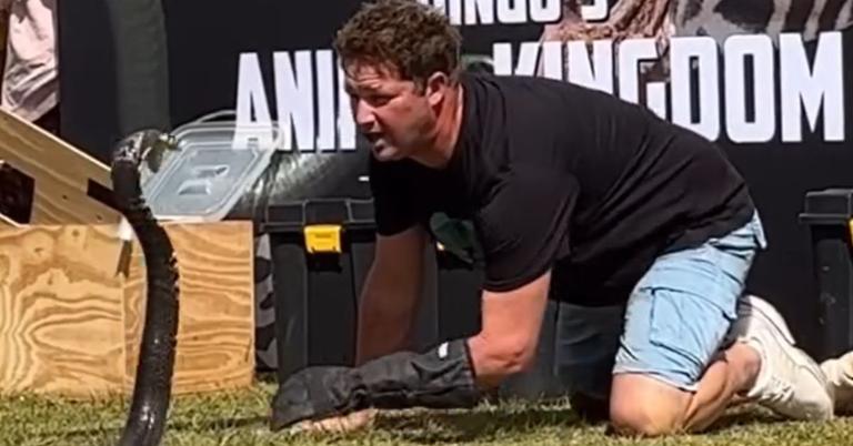 YouTuber Graham 'Dingo' Dinkelman Dead at 44 After Venomous Snake Bite