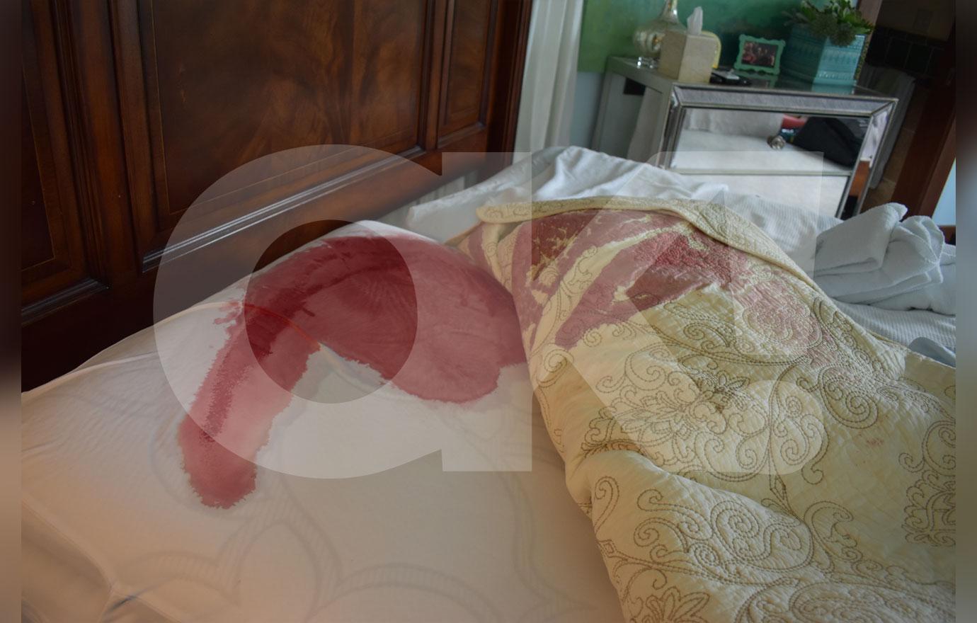 Photos Of Naomi Judd's Suicide Scene: Bloodstains, Gun, Note