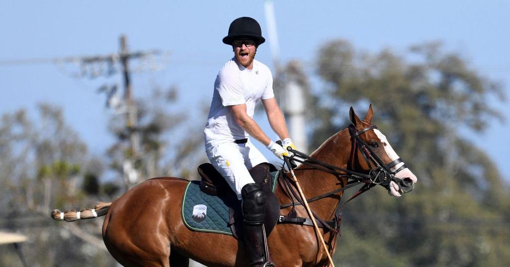 Prince Harry's New Polo Series Is 'Hugely Disappointing'