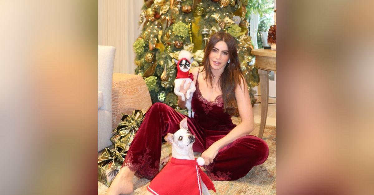 Sofia Vergara Spills Out Of Slinky Velvet Jumpsuit For Christmas: Photo
