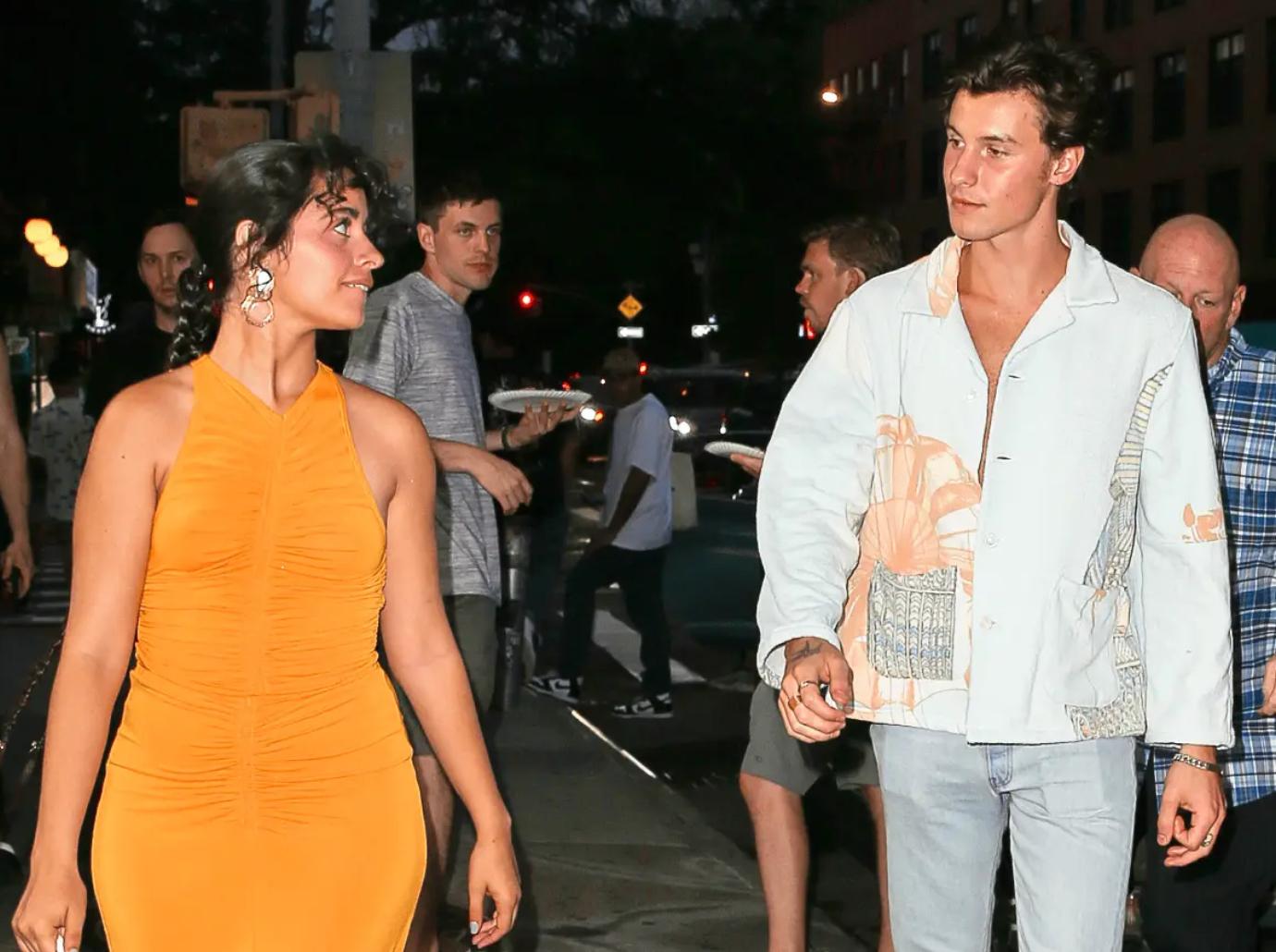 Camila Cabello Plays Into Shawn Mendes & Sabrina Carpenter Drama