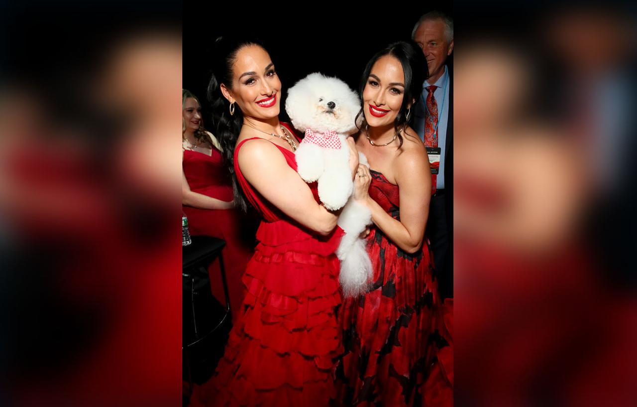 Celebrities Glam Up For 'Go Red For Women' Fashion Show