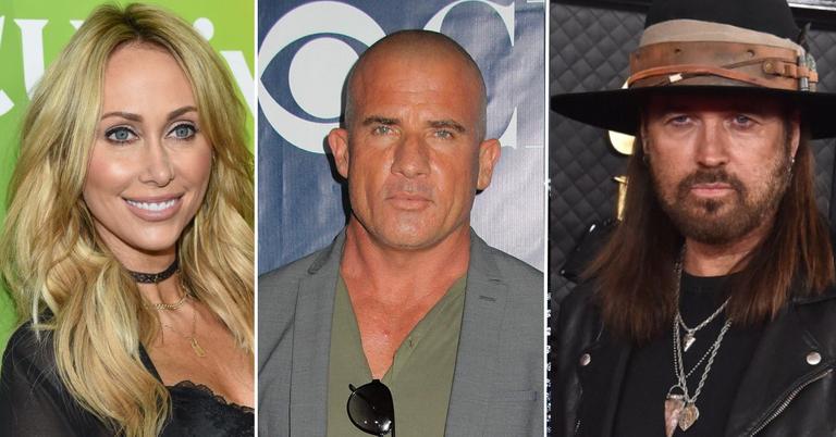 Tish Cyrus Debuts New Man Dominic Purcell After Billy Ray Engagement