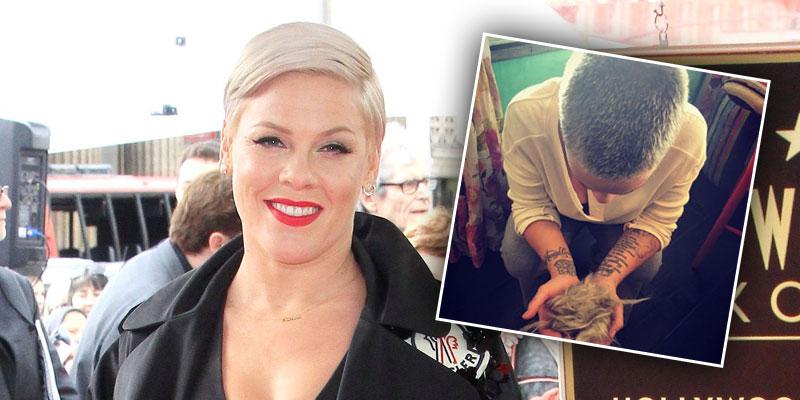 Pink Shaves Off All Her Hair And Shows Off Her New Buzzcut