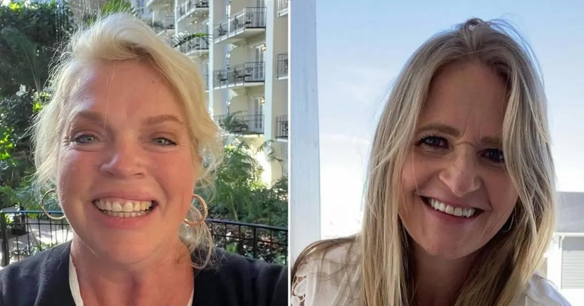 Sister Wives' Janelle Brown Gushes Over Christine's Cooking Skills