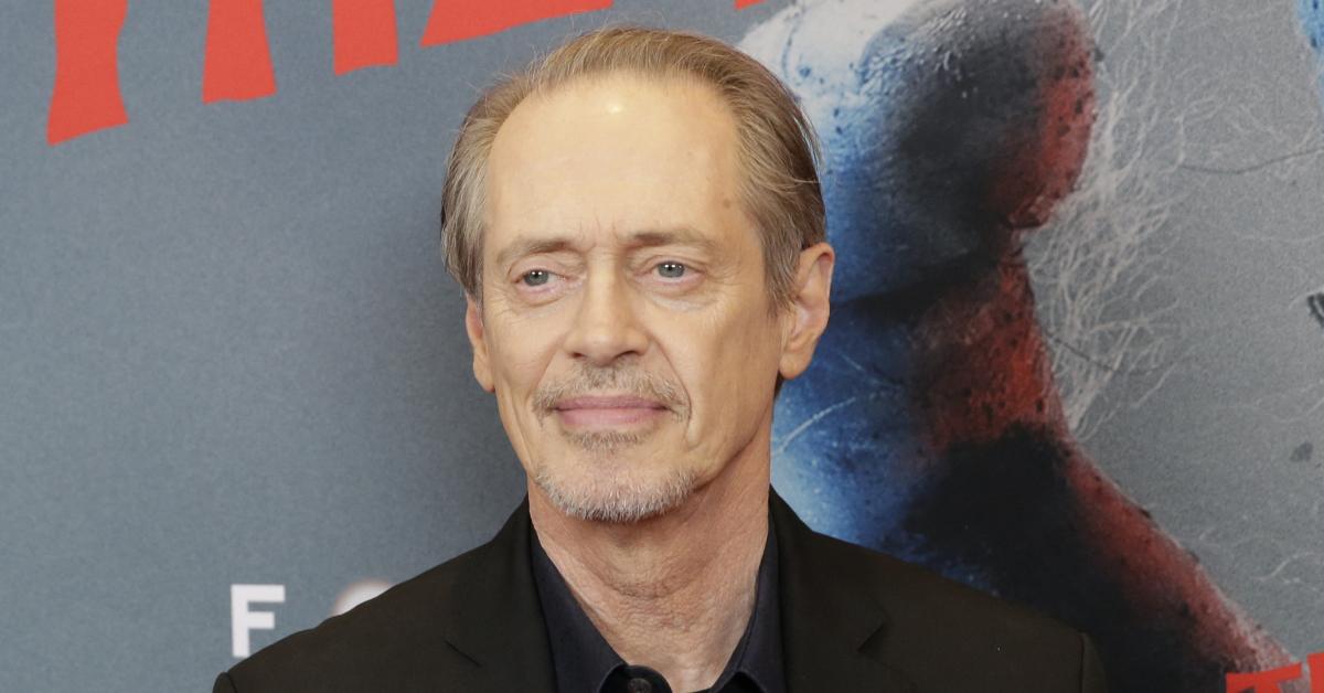 Steve Buscemi 'OK' After Randomly Attacked & Punched In New York City