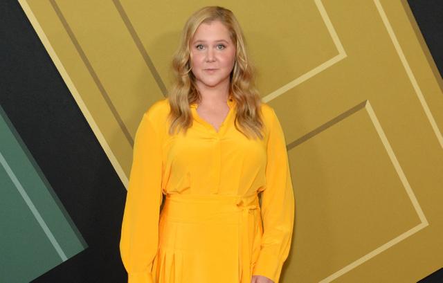 Amy Schumer's Transformation: How She Has Changed Over The Years