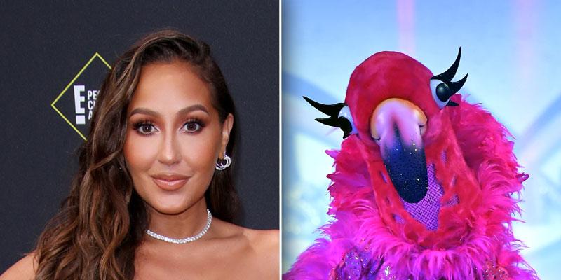 Adrienne Bailon Revealed To Be The Pink Flamingo On ‘The Masked Singer’