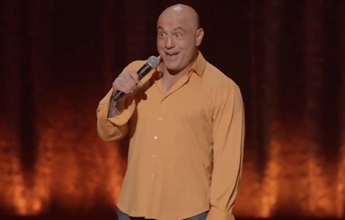 Joe Rogan Would 'Love' To Confront Prince Harry About Taking Mushrooms