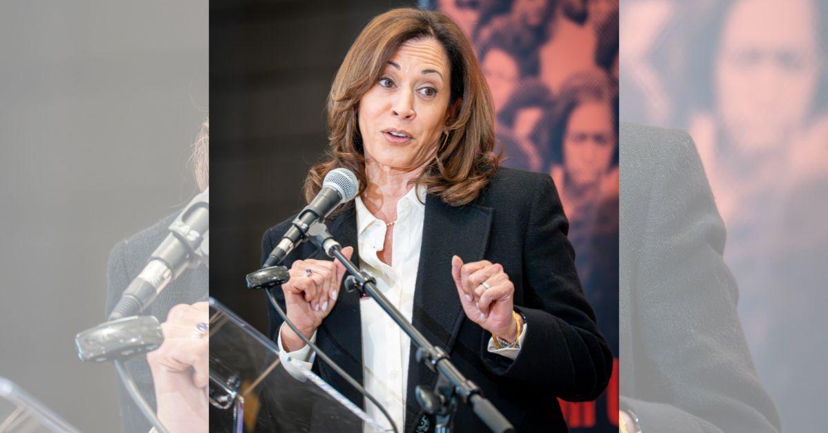 Kamala Harris Mocked By White House After Saying The Right Is 'Crazy'