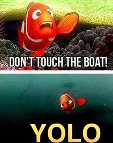'Finding Nemo' 2 is Happening! Here's Our Favorite 'Nemo' Memes to ...