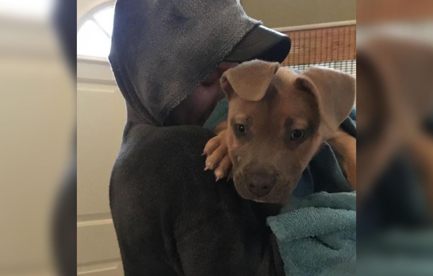 Halsey Loses Their Dog Jagger To Rare Condition