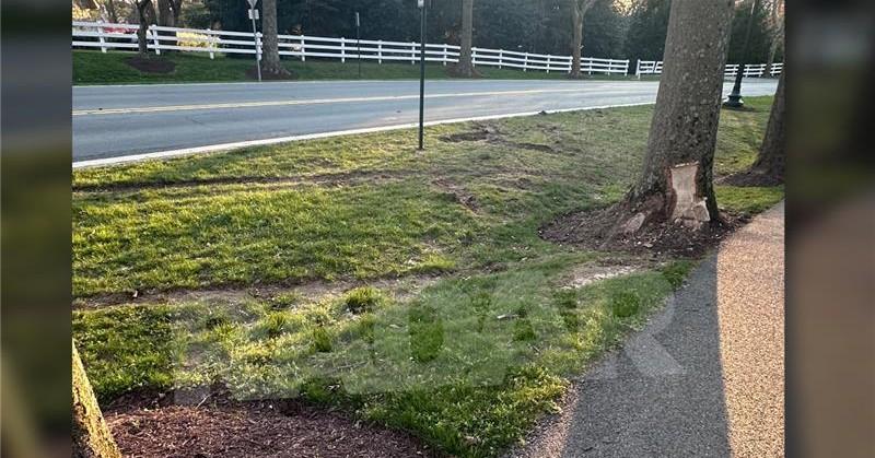 'RHOP' Star Karen Huger's Terrifying Car Crash Scene Revealed: Photos