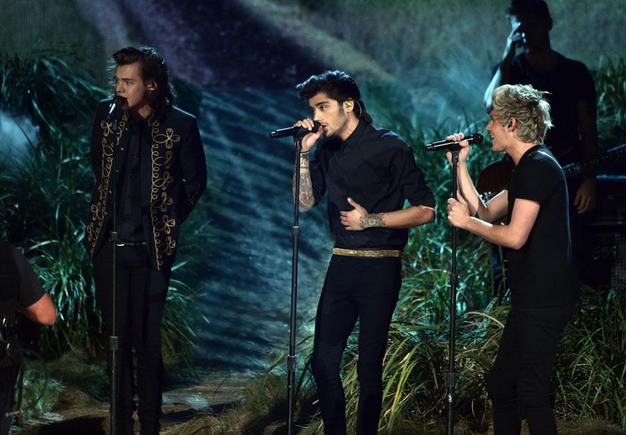 Separate Paths! One Direction To Take A Hiatus From Performing And ...