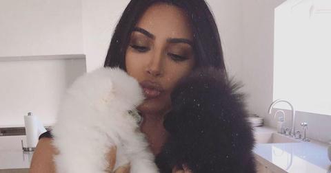Kim Kardashian Slammed For Buying 2 New Pomeranian Puppies