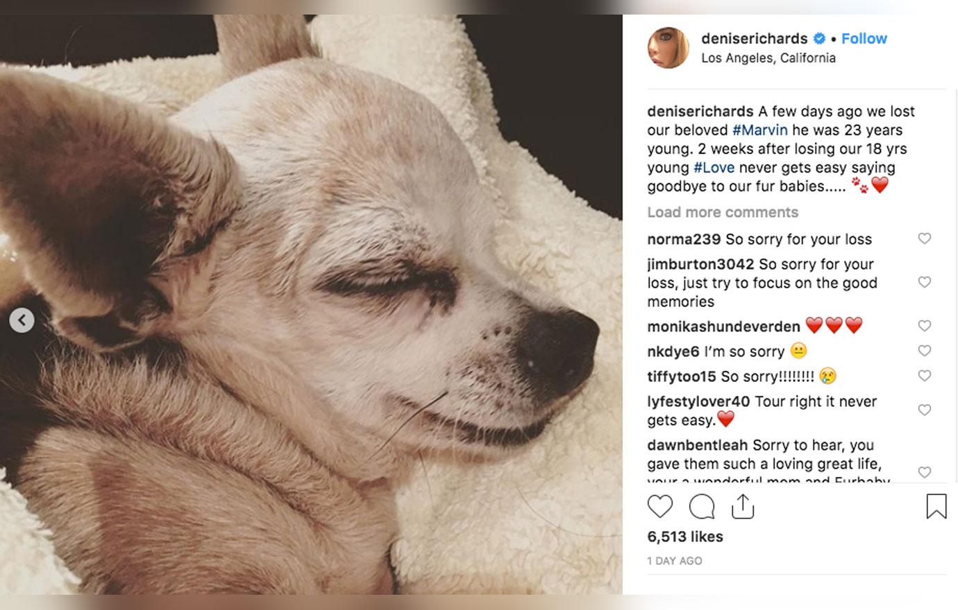 Denise Richards Mourns The Loss Of Her Dogs