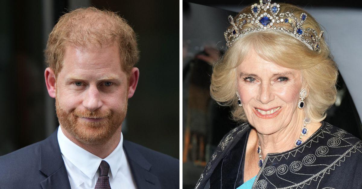 Prince Harry Has A 'Hard Time Digesting' Queen Camilla's Royal Rank