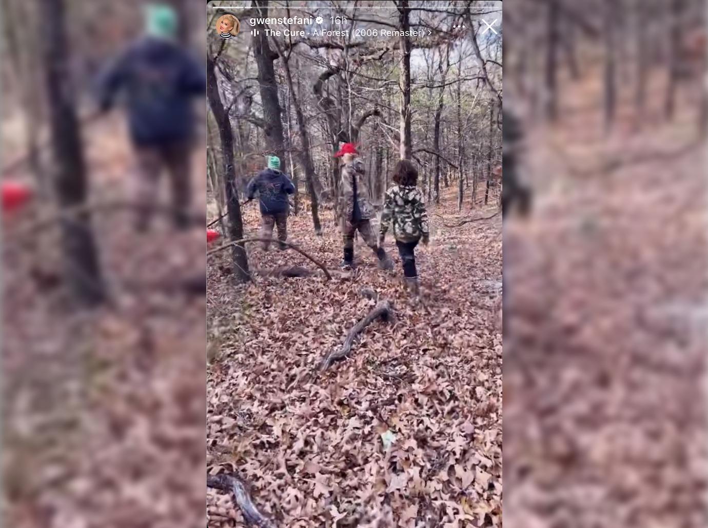 Gwen Stefani And Blake Shelton Share A Smooch On New Years Hike