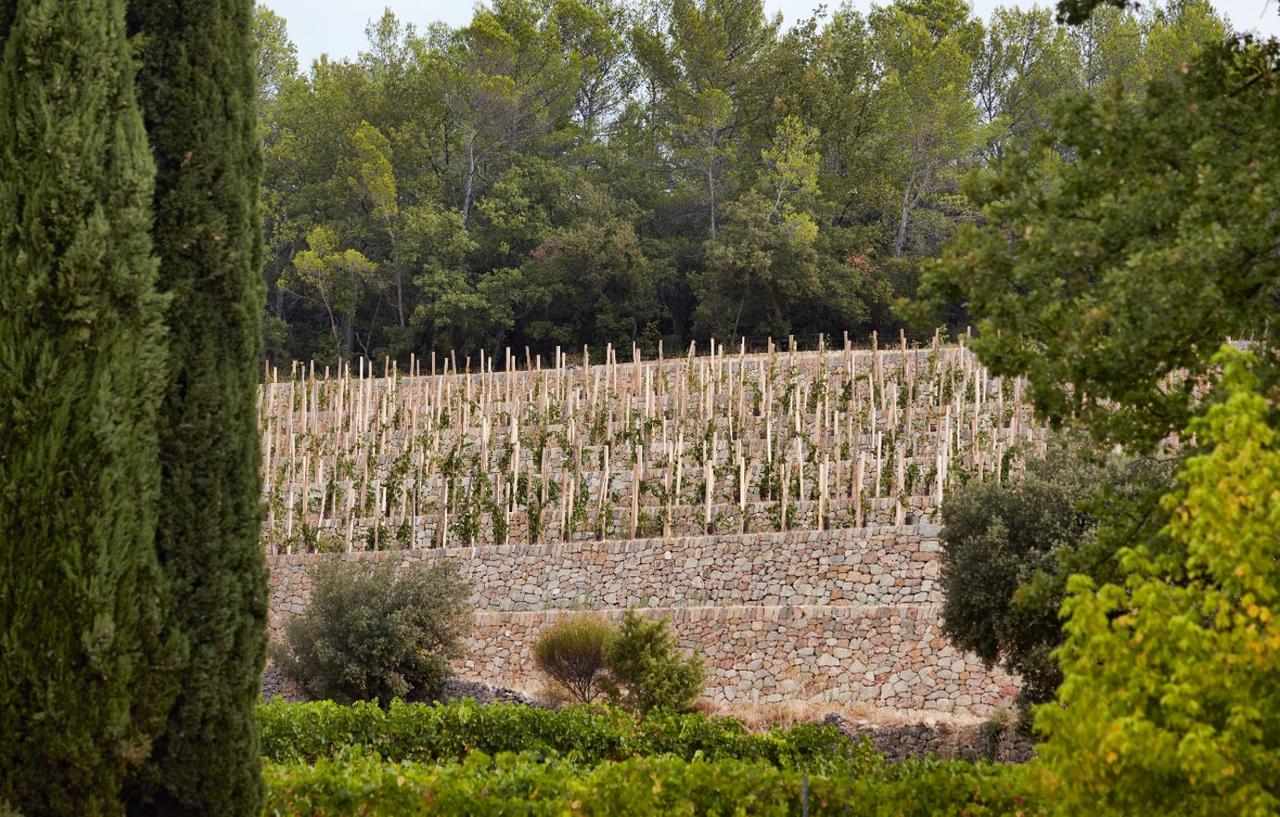 Brad Pitt Claims Angelina Jolie 'Withheld Hundreds Of Emails'