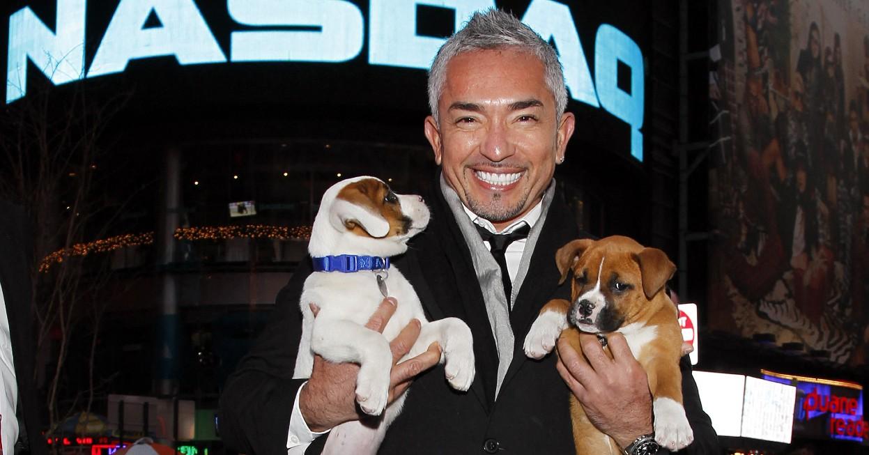 Cesar Millan Reveals Main Pillars To Raising A Well-Behaved Dog