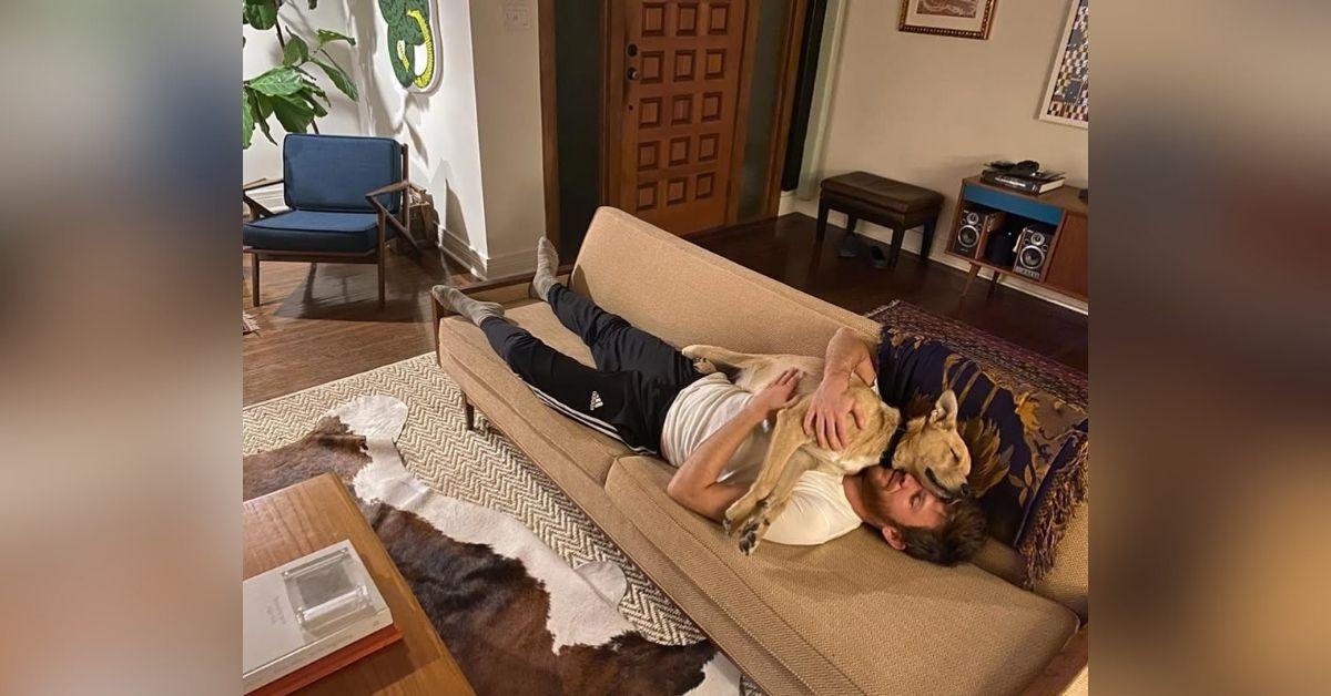 Who Is Matt Ziering? Meet Brianne Howey's Husband