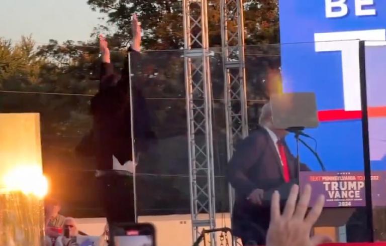 Elon Musk Slammed For Jumping Up & Down At Donald Trump's Rally