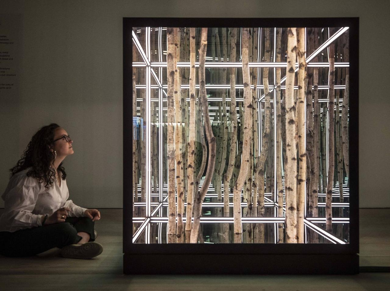 Optical Illusion: How Many Blocks Do You See?