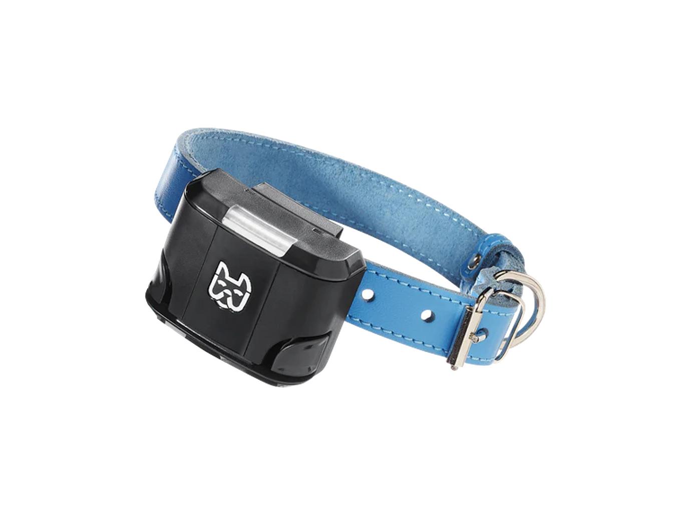 8 Stylish Items To Spoil Your Animal Friend With