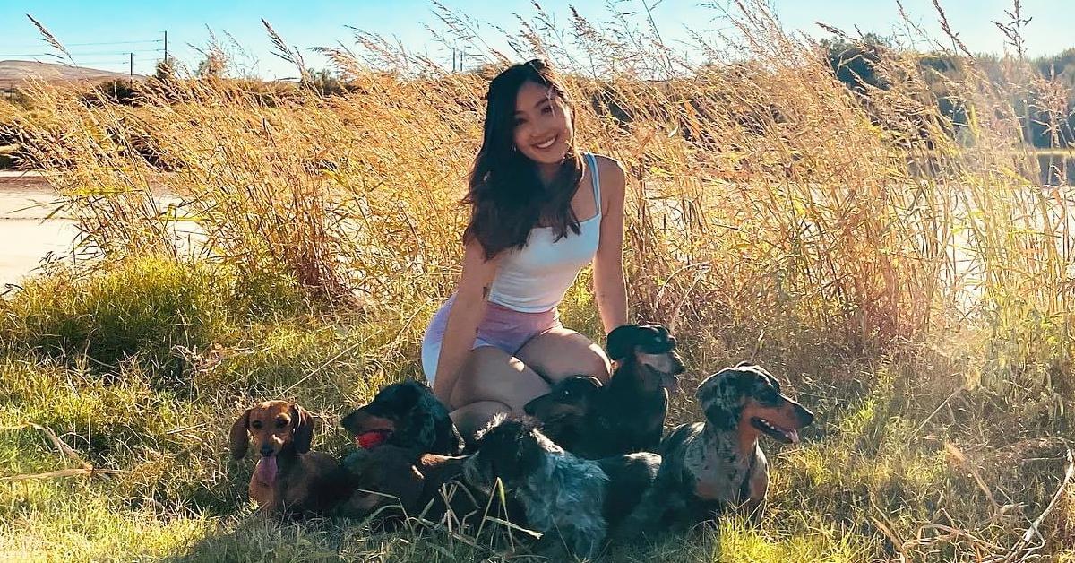 Woman Spends Thousands Building Sausage Dog Family With Seven Dachshunds Woman Spends Thousands Building Sausage Dog Family With Seven Dachshunds