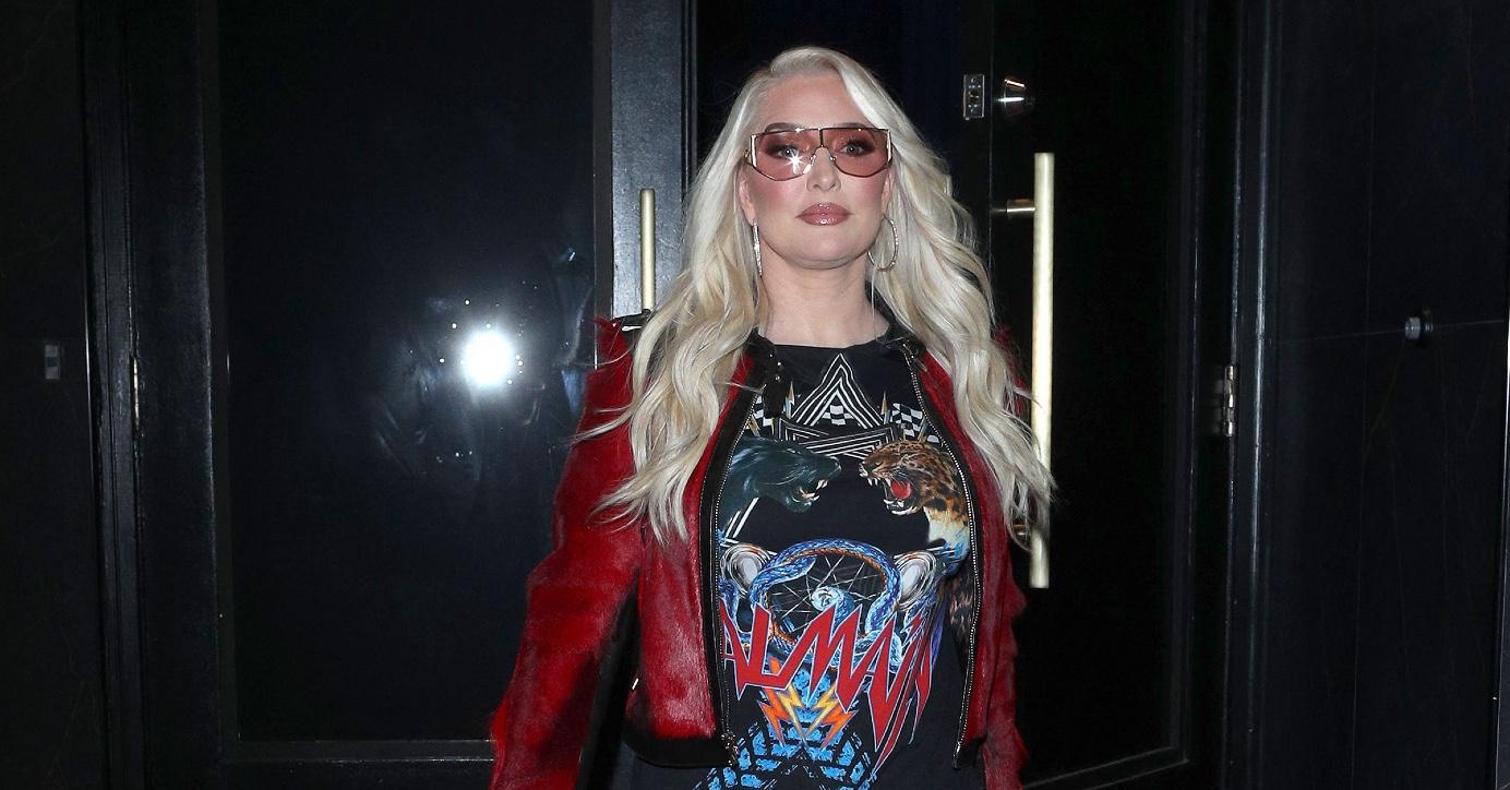 Erika Jayne Throws Shade At Denise Richards' Upcoming 'RHOBH' Return