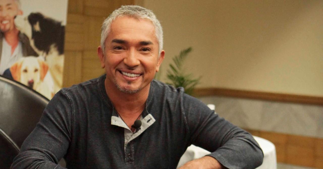 Cesar Millan Reveals Main Pillars To Raising A Well-Behaved Dog