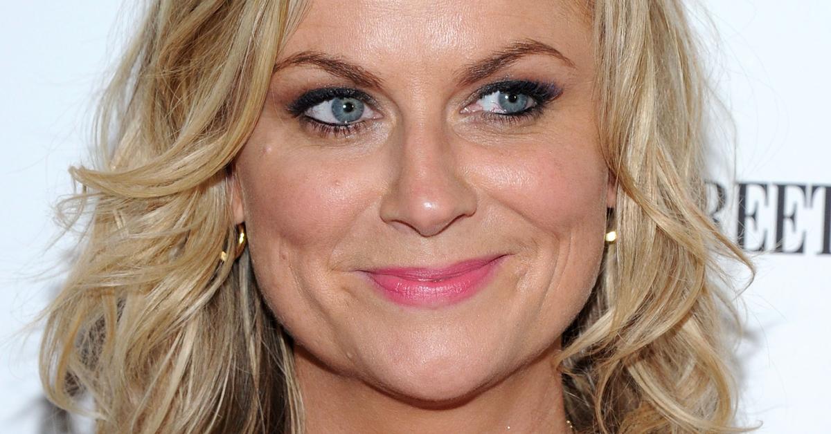 ‘Obligatory Drug Stories:’ Amy Poehler And Other Celebs Who Have Tried ...