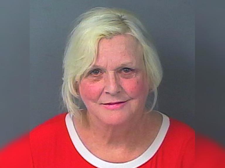 Aaron & Nick Carter's Mother Arrested After Physical Altercation