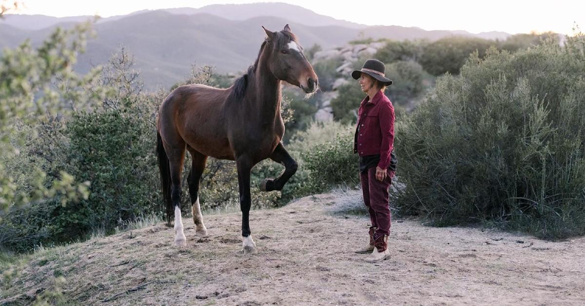 Exploring The Healing Power Of Horse Constellation Therapy