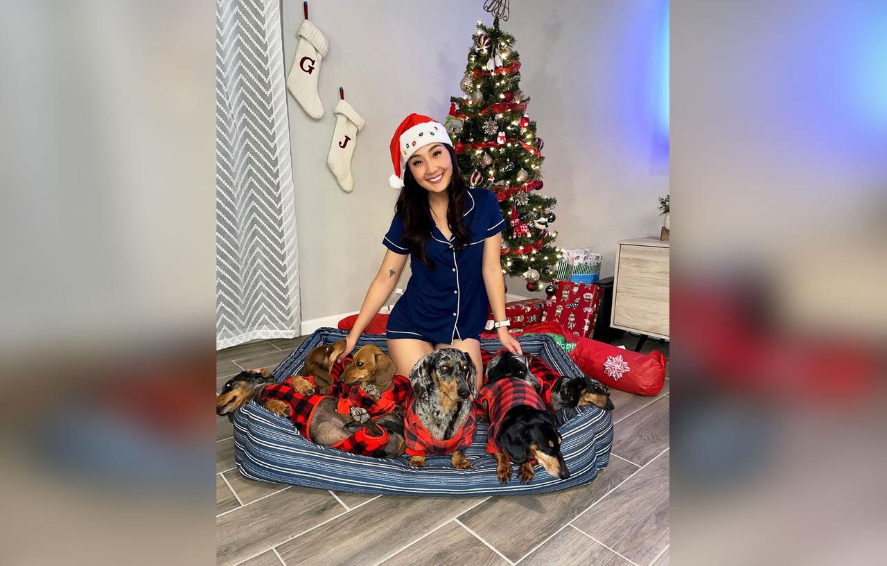 Woman Spends Thousands Building Sausage Dog Family With Seven Dachshunds Woman Spends Thousands Building Sausage Dog Family With Seven Dachshunds