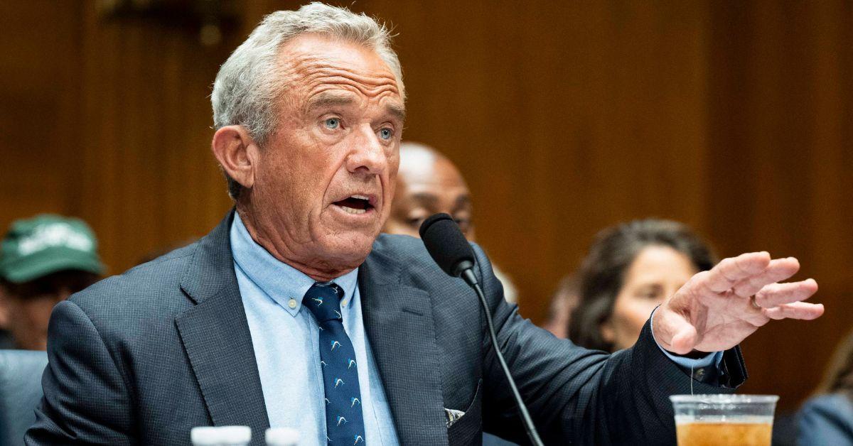 Ellen Barkin Accuses RFK Jr. Of Putting His Hand 'Up My Skirt'