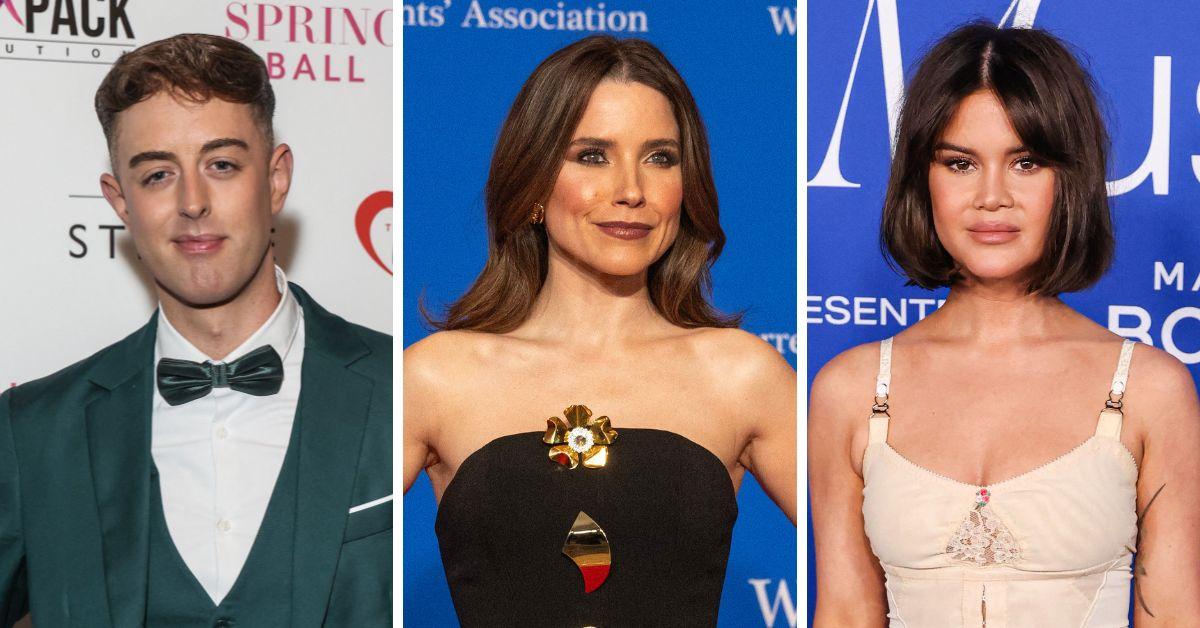 Celebrities Who Came Out In 2024: Sophia Bush, Maren Morris & More