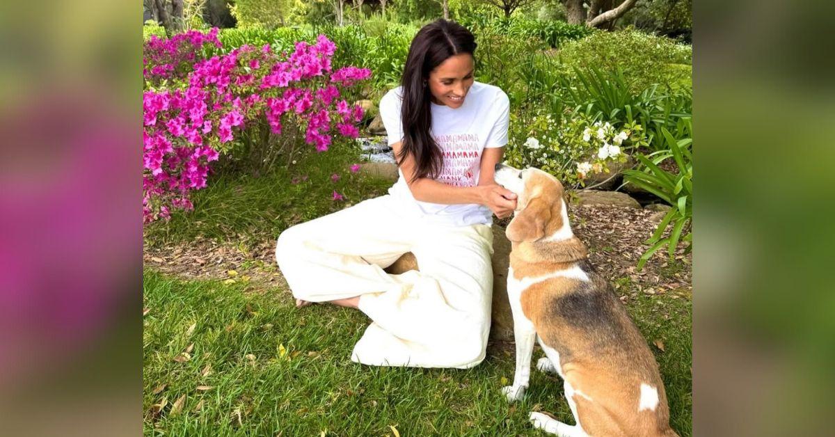 Meghan Markle Apologizes & Issues Refunds For Sold-Out As Ever Disaster