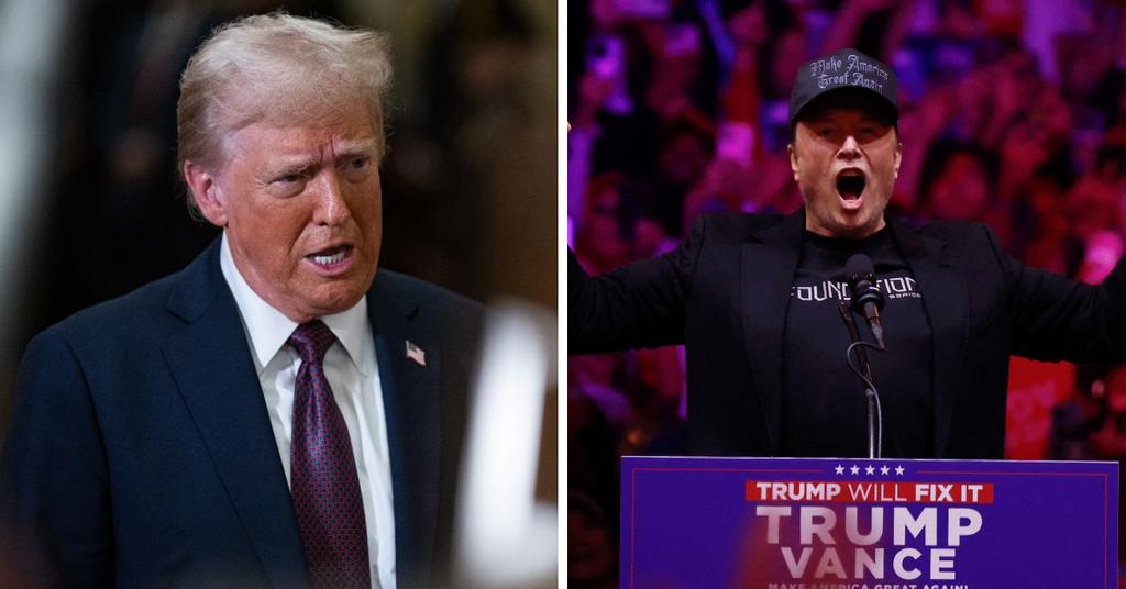 Elon Musk's DOGE Role In Donald Trump's Administration: What To Know