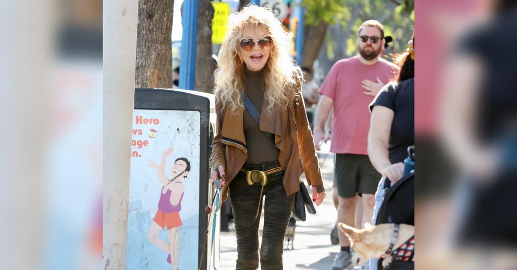 Ageless Actress Dyan Cannon Looks Young While Out In La Photos