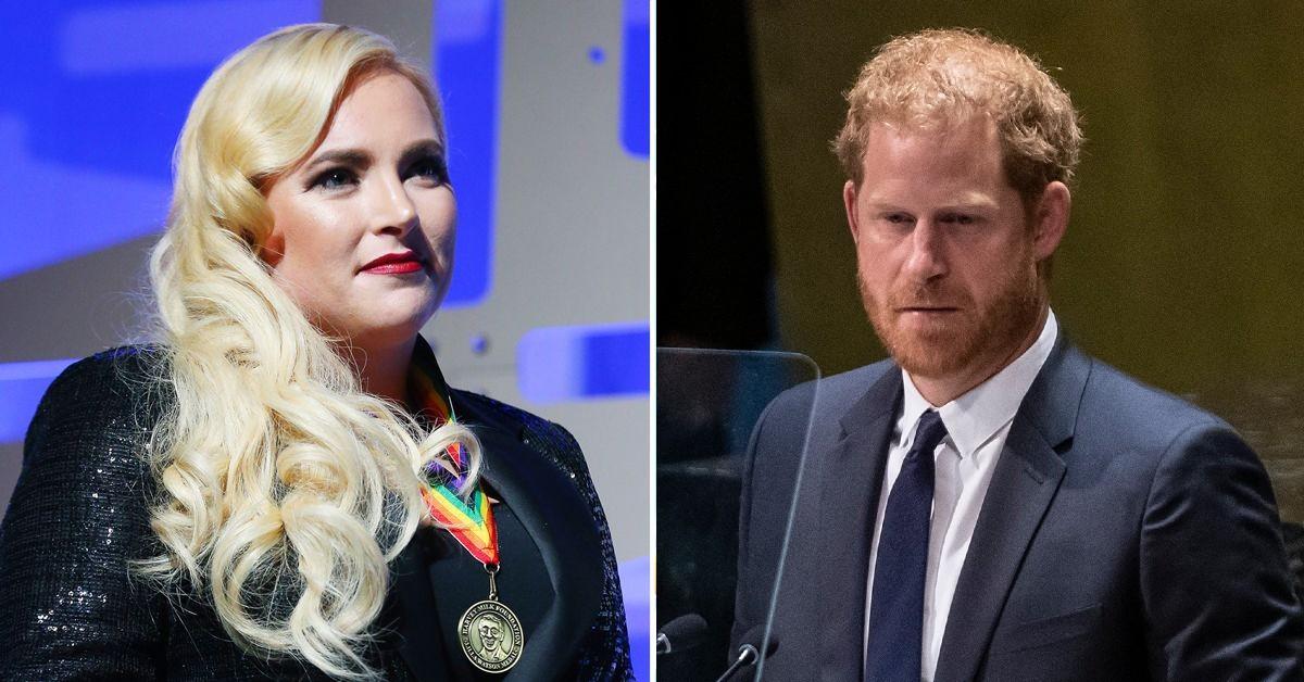 Meghan McCain Believes Prince Harry's U.N. Speech Insulted Americans