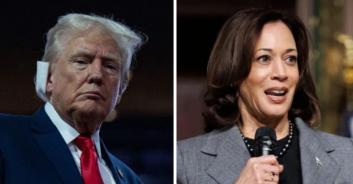 Donald Trump Ridiculed For Obsessing Over Kamala Harris' Crowd Sizes