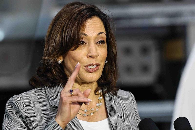 Kamala Harris Is 'Ready To Serve' As President Amid Joe Biden Age Fears